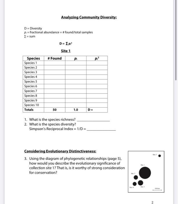 Solved Worksheet 1: Measuring spider diversity On the tally | Chegg.com