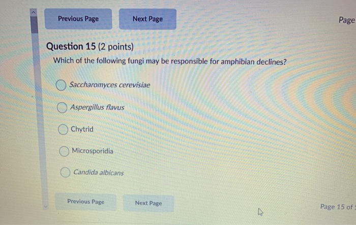Solved Previous Page Next Page Page Question 15 (2 points) | Chegg.com