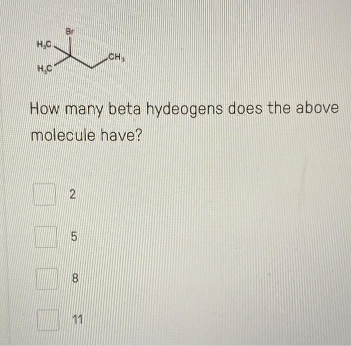 Solved How many beta hydeogens does the above molecule have? | Chegg.com