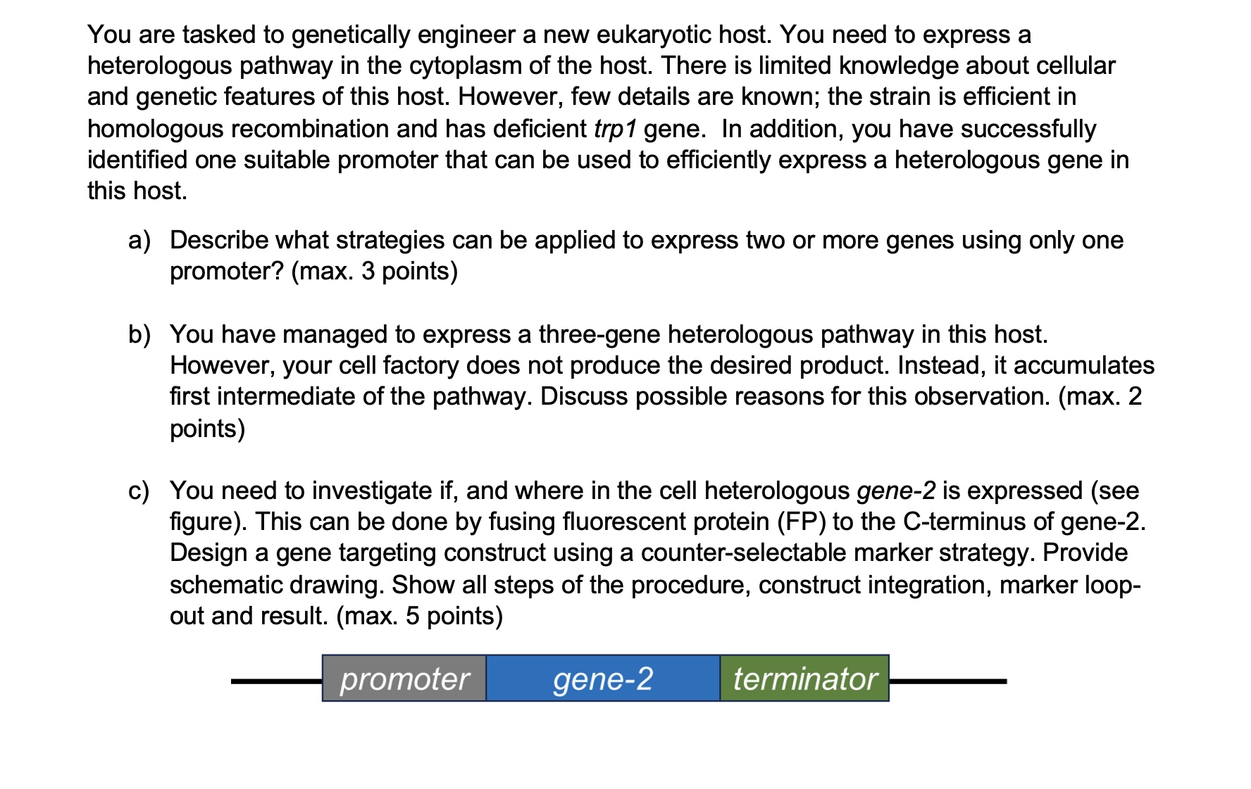Solved You are tasked to genetically engineer a new | Chegg.com