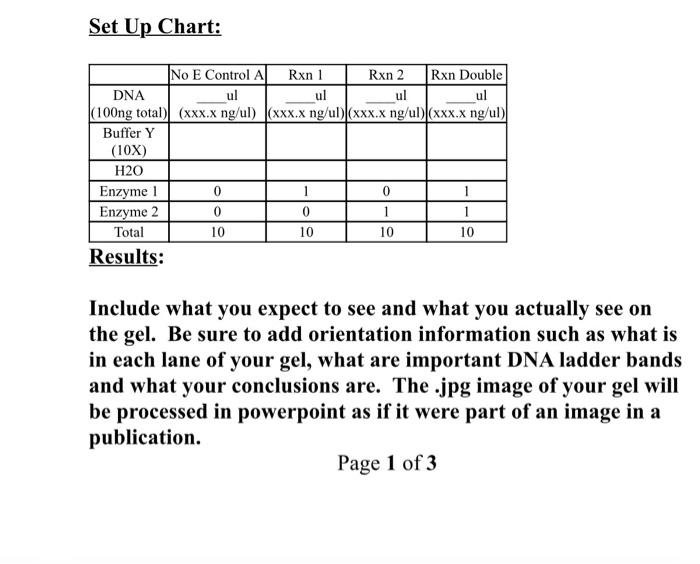 Solved plasmid). The DNA fragment is then joined with the | Chegg.com
