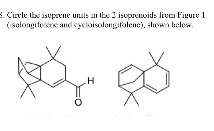 Solved 3. Circle the isoprene units in the 2 isoprenoids | Chegg.com