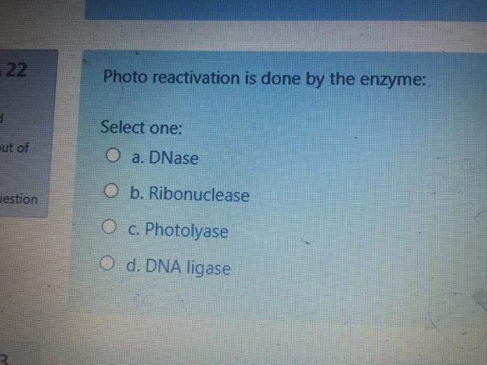 Solved 22 Photo reactivation is done by the enzyme: Select | Chegg.com