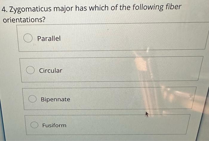 Solved one in between that is called the intermediate layer. | Chegg.com