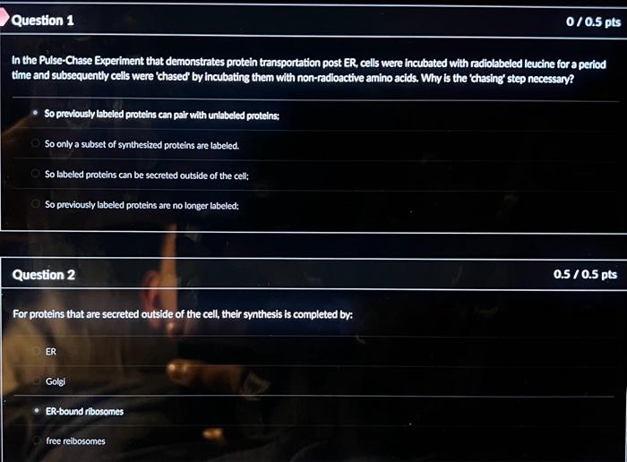 Solved Question 1 In the Pulse-Chase Experiment that | Chegg.com