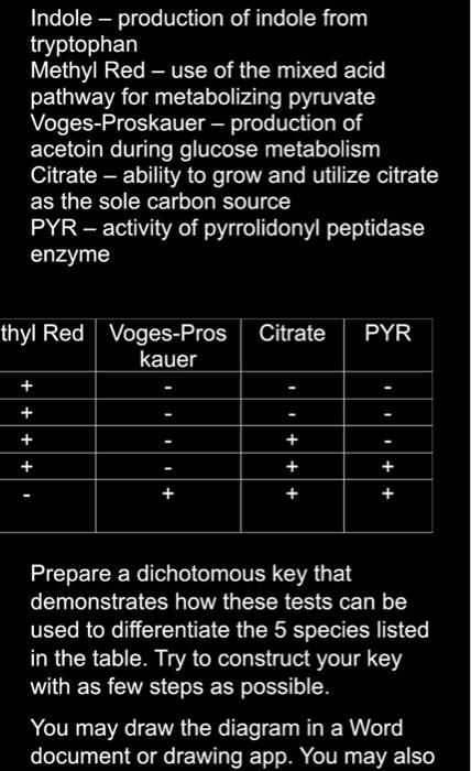 Solved Indole - production of indole from tryptophan Methyl | Chegg.com