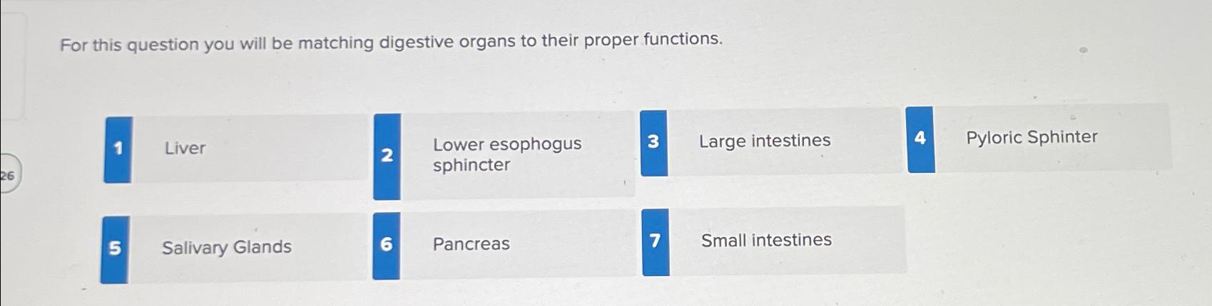 Solved For this question you will be matching digestive | Chegg.com