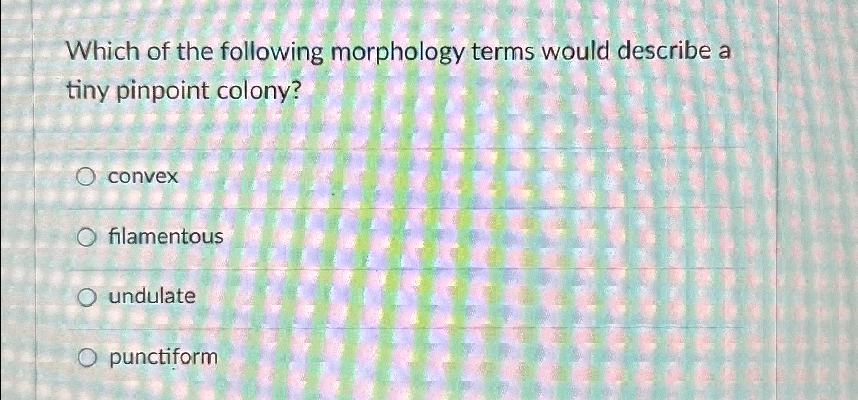 Solved Which of the following morphology terms would | Chegg.com
