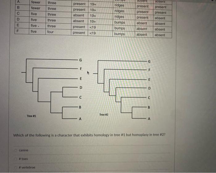 Solved Of tree \#1 and tree \#2, which hypothesis is best | Chegg.com