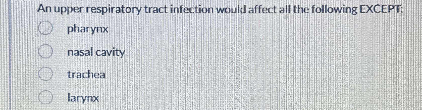 Solved An upper respiratory tract infection would affect all | Chegg.com