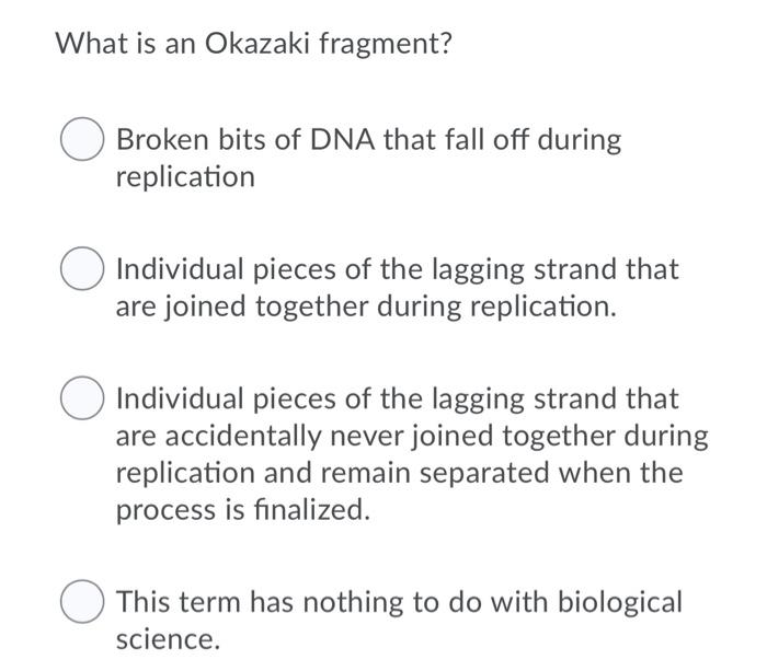 Solved What is the function of Single-strand-binding | Chegg.com