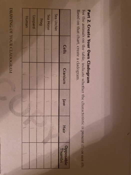 Solved Part 2. Create Your Own Cladogram For the animals on | Chegg.com