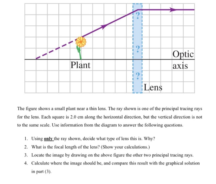 Solved Optic Plant axis Lens The figure shows a small plant | Chegg.com