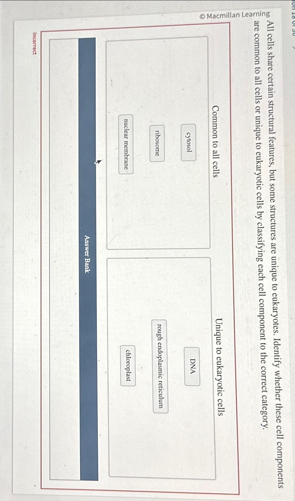Solved All cells share certain structural features, but some | Chegg.com