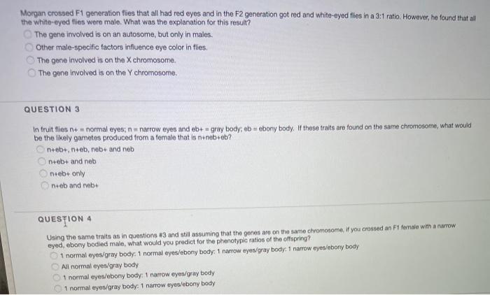 Solved Morgan crossed F1 generation flies that all had red | Chegg.com