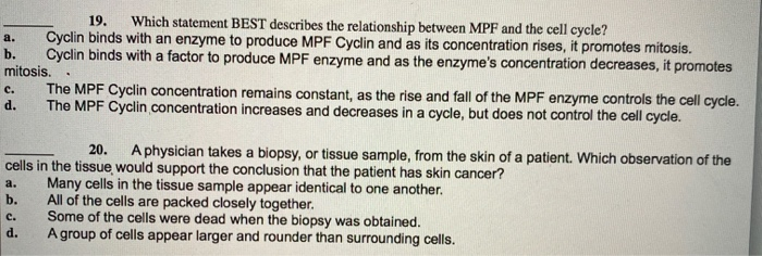Solved a. b. 19. Which statement BEST describes the | Chegg.com