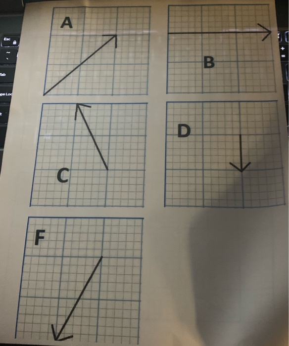Solved GRAPHICALLY ADDING VECTORS:Draw out the indicated | Chegg.com