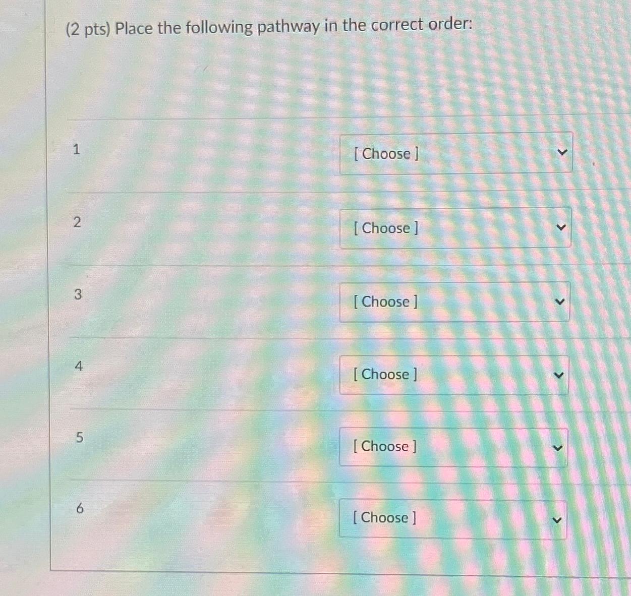 Solved (2 ﻿pts) ﻿Place the following pathway in the correct | Chegg.com