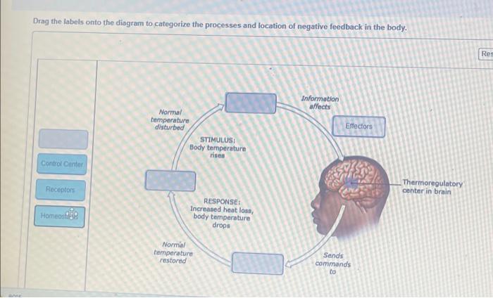 Solved 80°F Drag the labels onto the diagram to categorize | Chegg.com