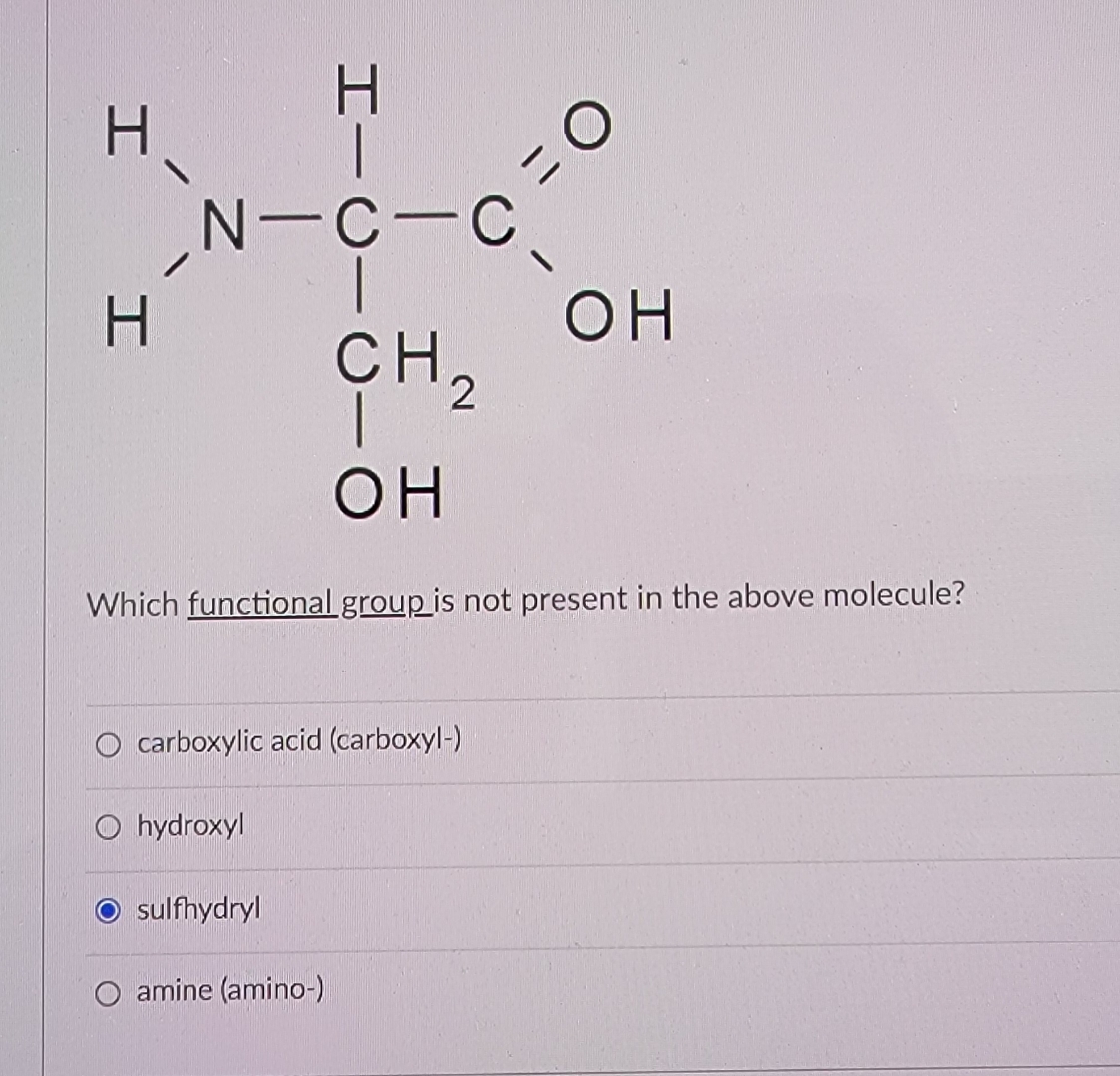 Solved Which functional group is not present in the above | Chegg.com