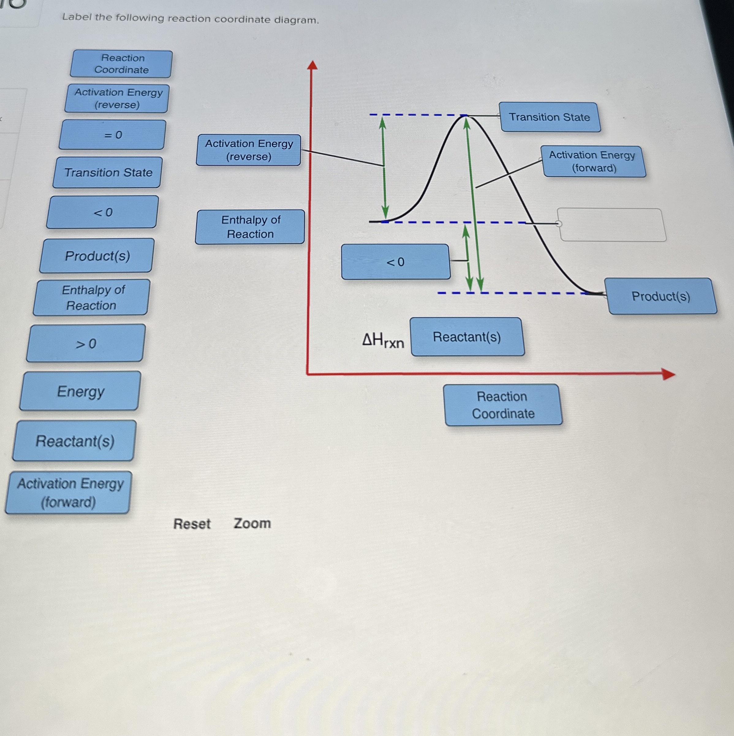 Solved Label the following reaction coordinate | Chegg.com