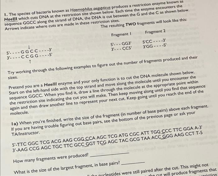 1. The species of bacteria known as Haemophilus | Chegg.com