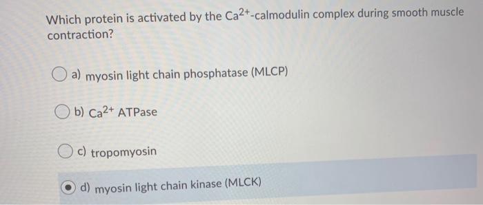 Solved The function of transverse tubules (T-tubules) is to | Chegg.com