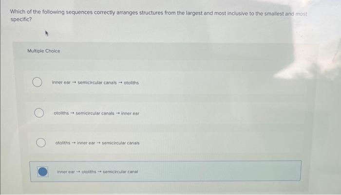 Which of the following sequences correctly arranges | Chegg.com