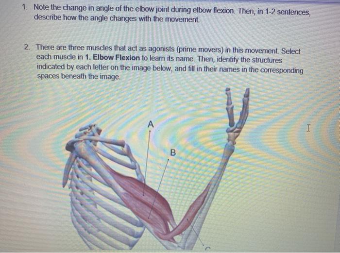 Solved 1. Note the change in angle of the elbow joint during | Chegg.com