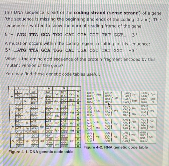 Solved This DNA sequence is part of the coding strand (sense | Chegg.com