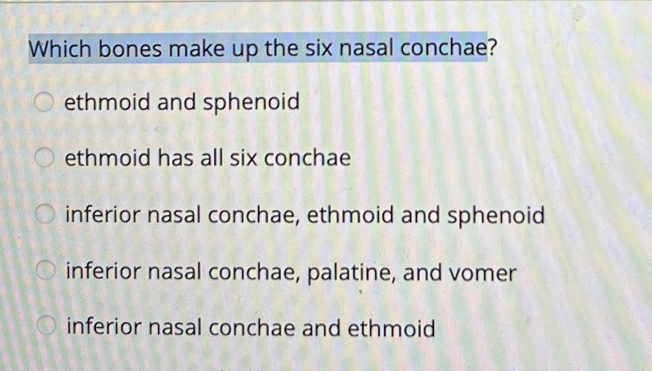 Solved Which bones make up the six nasal conchae?ethmoid and | Chegg.com