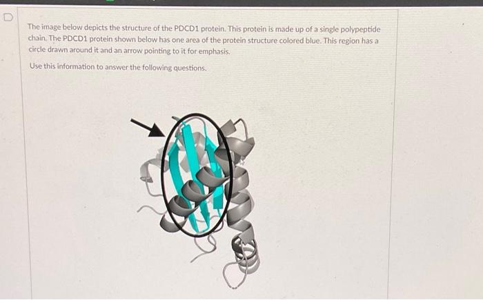 Solved T/F: Disrupting the tertiary structure of PDCD1 would | Chegg.com