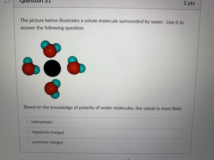 Solved 2 pts The picture below illustrates a solute molecule | Chegg.com