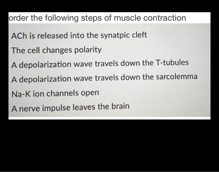 Solved order the following steps of muscle contraction ACh | Chegg.com