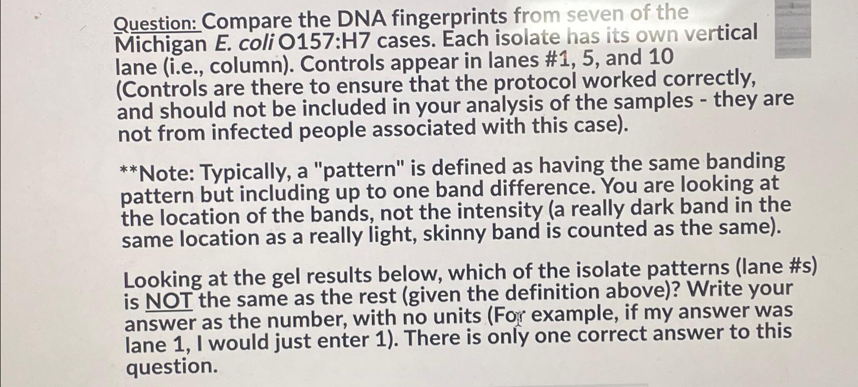 Solved Question: Compare the DNA fingerprints from seven of | Chegg.com