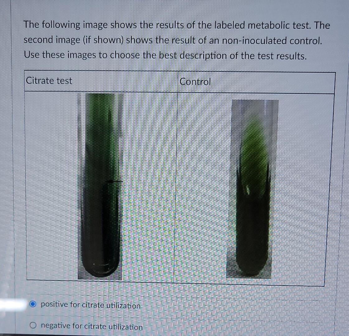 Solved The following image shows the results of the labeled | Chegg.com