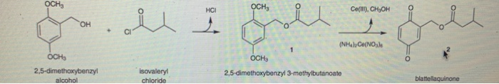 Solved step by step mechanism for: the synthesis of a | Chegg.com