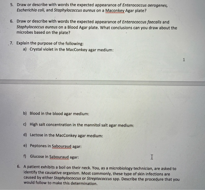 Solved 1. In microbiology lab, you make three different | Chegg.com