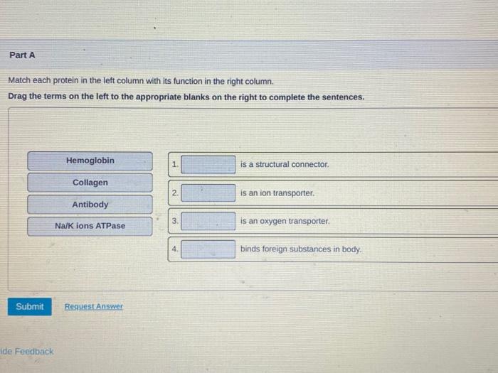 Solved Match each protein in the left column with its | Chegg.com