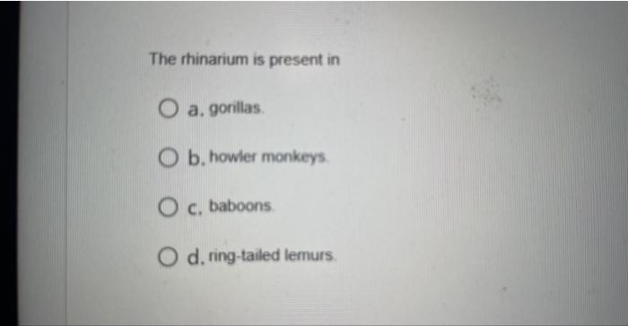 The rhinarium is present in a. gonillas. b. howler | Chegg.com