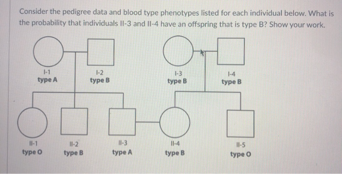 Solved Consider the pedigree data and blood type phenotypes | Chegg.com
