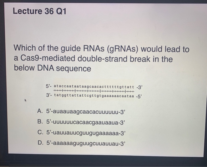 Solved Lecture 36 Q1 Which of the guide RNAs (gRNAs) would | Chegg.com