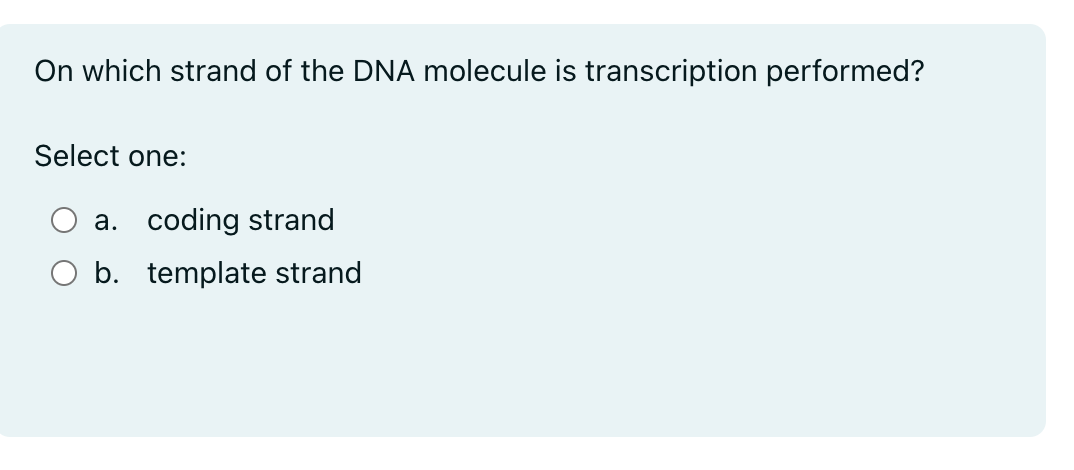 Solved On which strand of the DNA molecule is transcription | Chegg.com