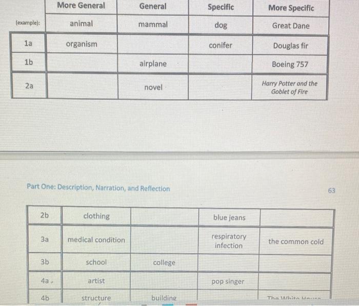 Solved More General General Specific More Specific | Chegg.com