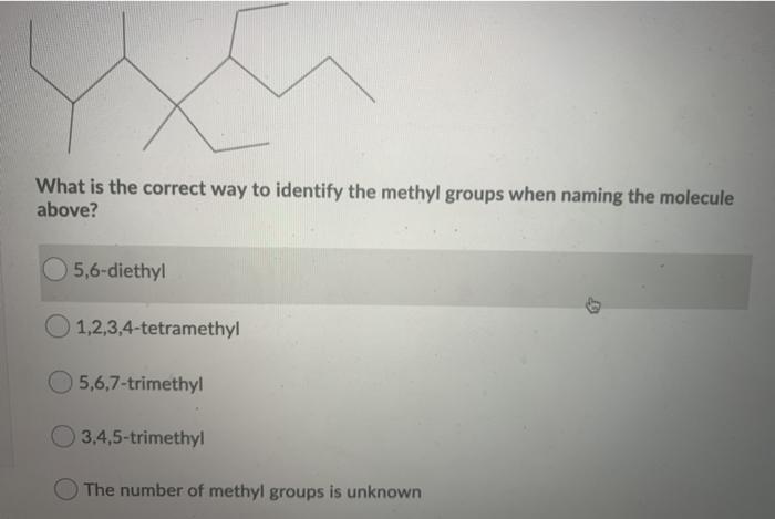 Solved What is the correct way to identify the methyl groups | Chegg.com