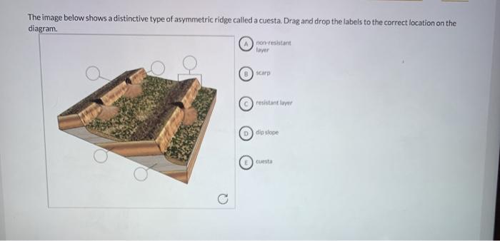 Solved The image below shows a distinctive type of | Chegg.com