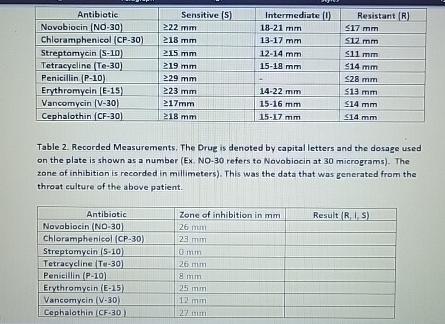 Solved \table[[Antibiotic,Sensitive (S),Intermediate | Chegg.com