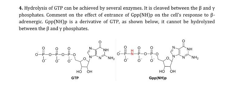 Solved 4. Hydrolysis of GTP can be achieved by several | Chegg.com