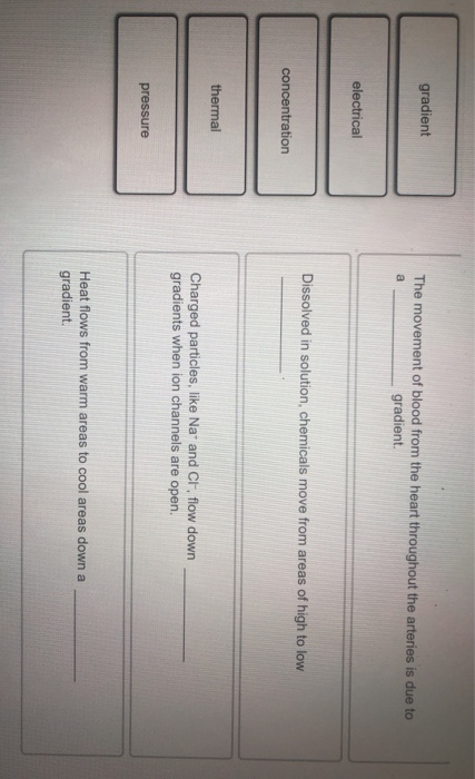 Solved drag each label to the proper position to identify | Chegg.com