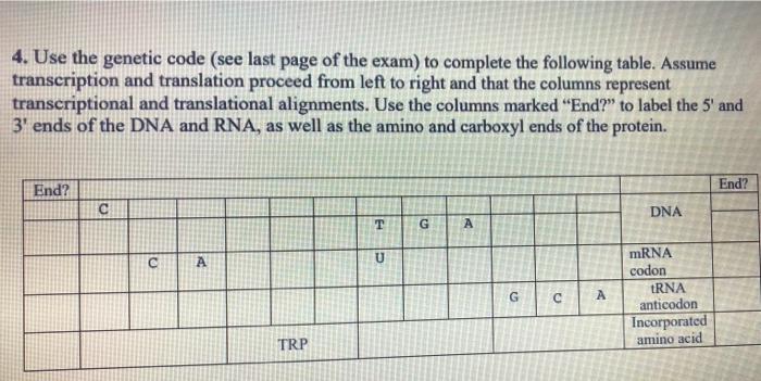 Solved 4. Use the genetic code (see last page of the exam) | Chegg.com
